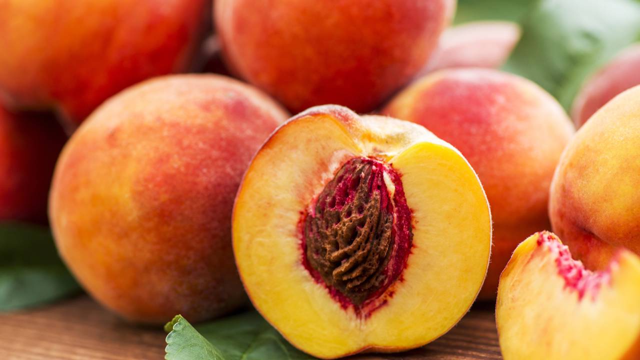 Os 5 passos simples para cultivar pessegueiro do caroço até o fruto ...